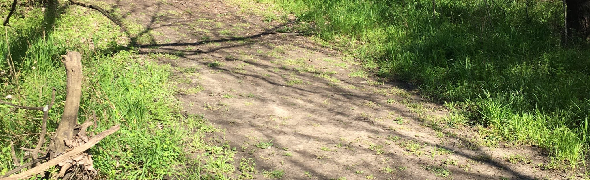 Osage Nature Trail, Kansas - 144 Reviews, Map | AllTrails