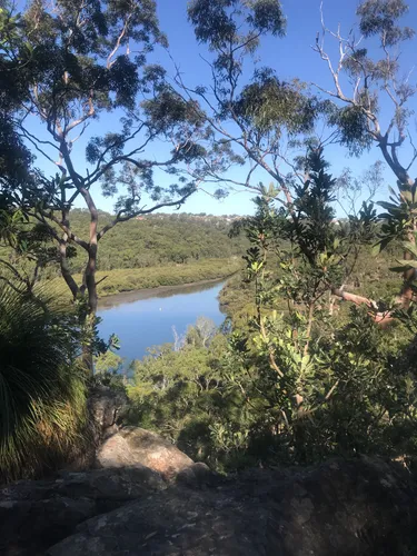 Best Walking Trails in Georges River National Park | AllTrails