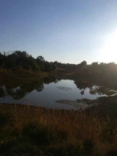 10 Best Trails and Hikes in Modimolle Munic NU | AllTrails