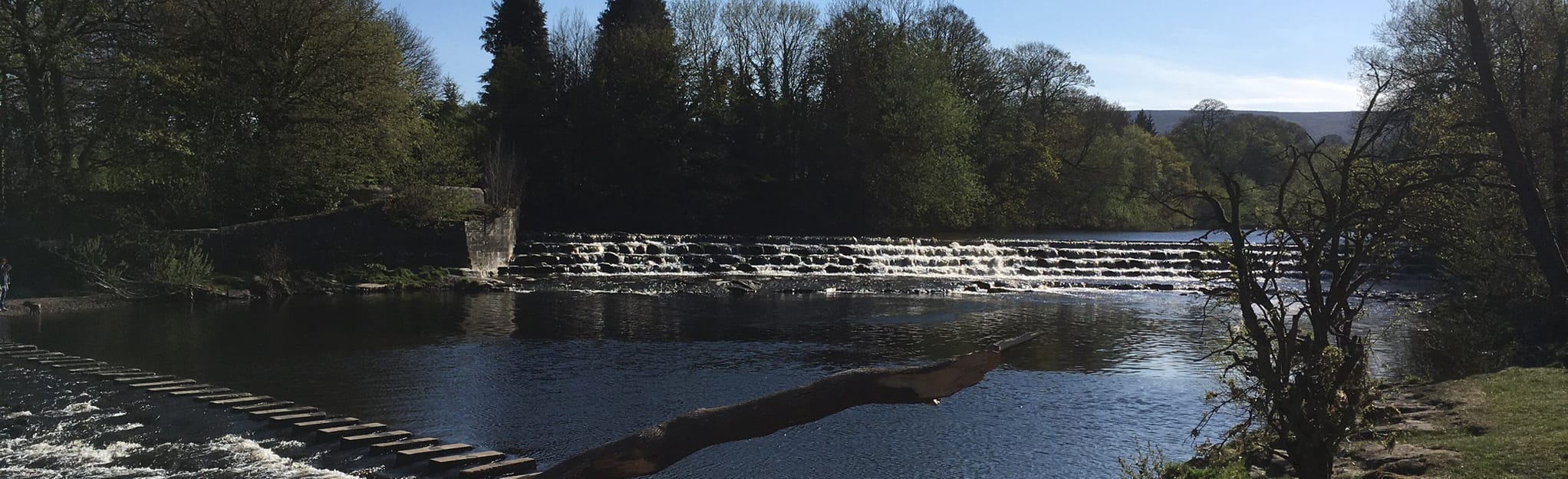 Manor Park and Askwith Moor Circular: 5 Reviews, Map - West Yorkshire ...