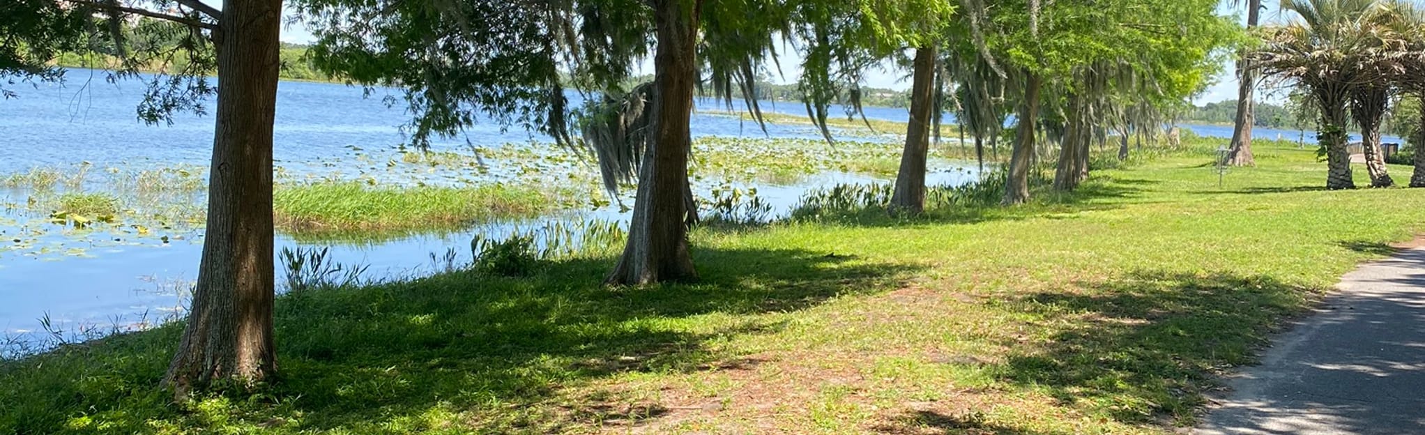 Turkey Lake Loop, Florida - 270 Reviews, Map | AllTrails