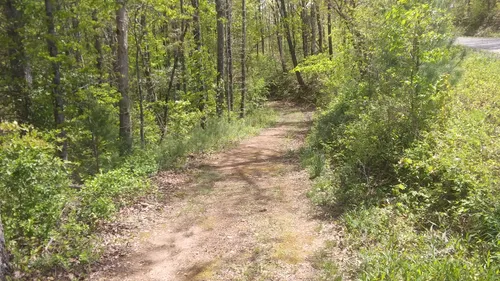 Best Hikes and Trails in Hanging Dog Recreation Area | AllTrails