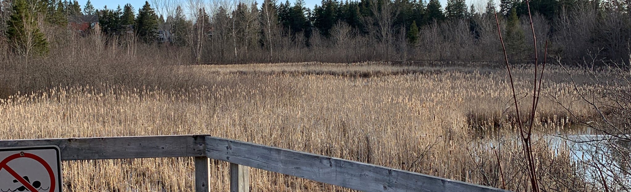 Wetland and Floodplain Loop, New Brunswick, Canada - 351 Reviews, Map ...