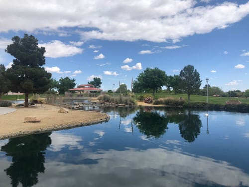 Best Hikes and Trails in Aliante Nature Discovery Park | AllTrails