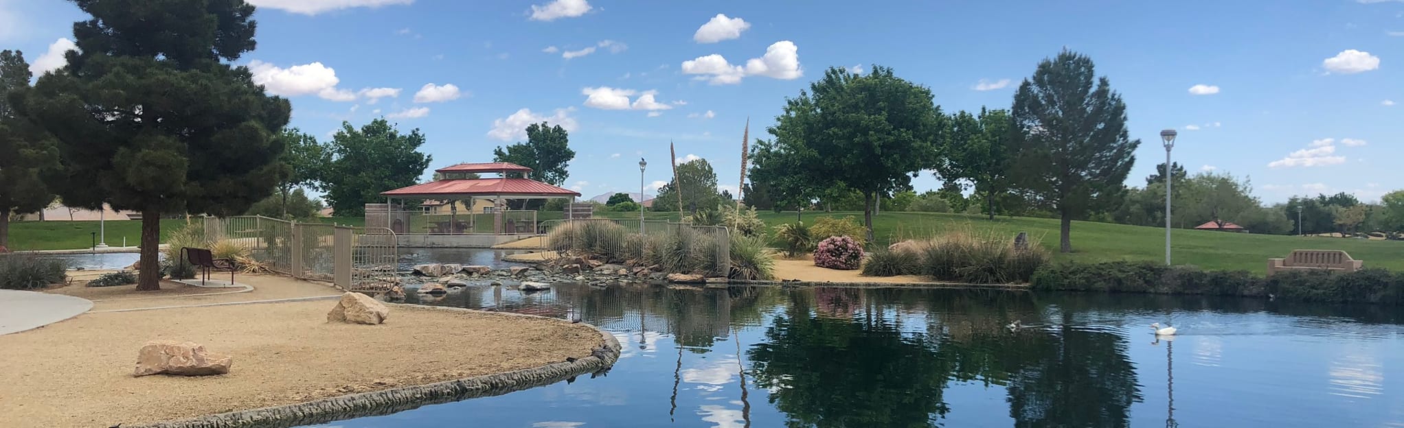 Aliante Nature Discovery Park | Map, Guide - Nevada | AllTrails