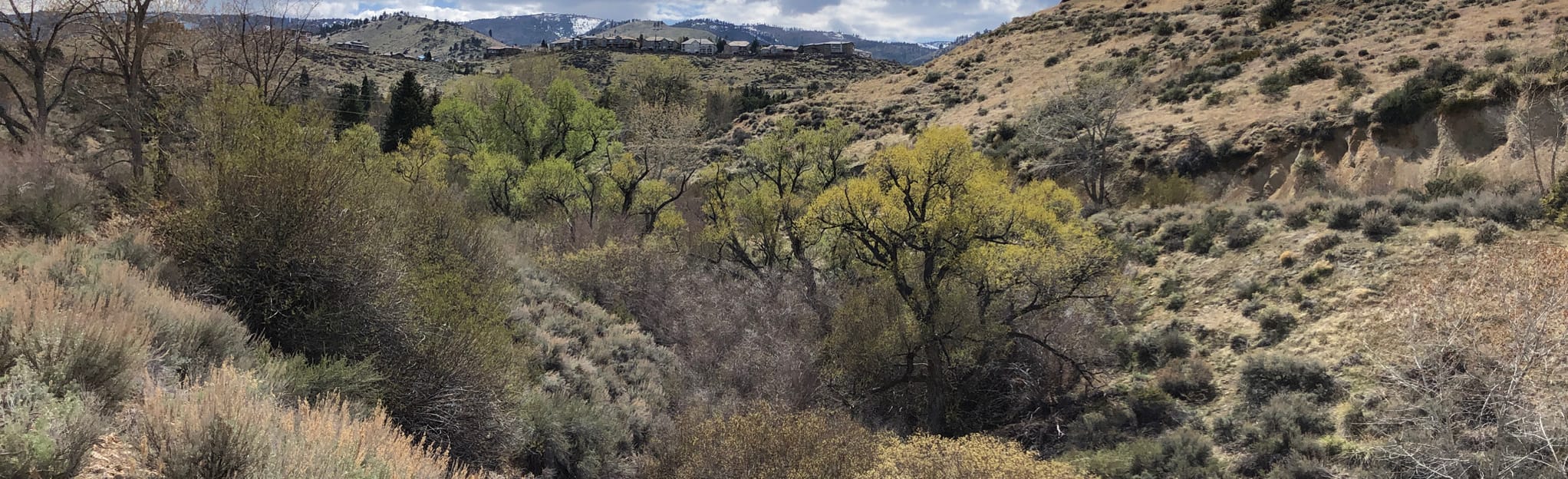 Steamboat Ditch Trail, Nevada - 163 Reviews, Map | AllTrails