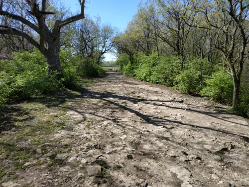 Best Hikes and Trails in Rosedale Park | AllTrails