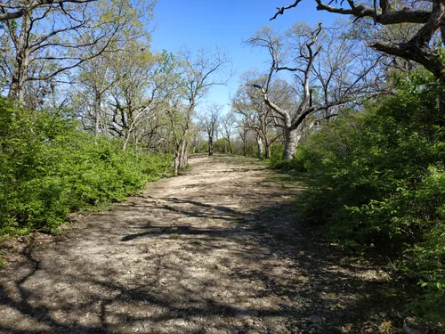 Best Hikes and Trails in Rosedale Park | AllTrails