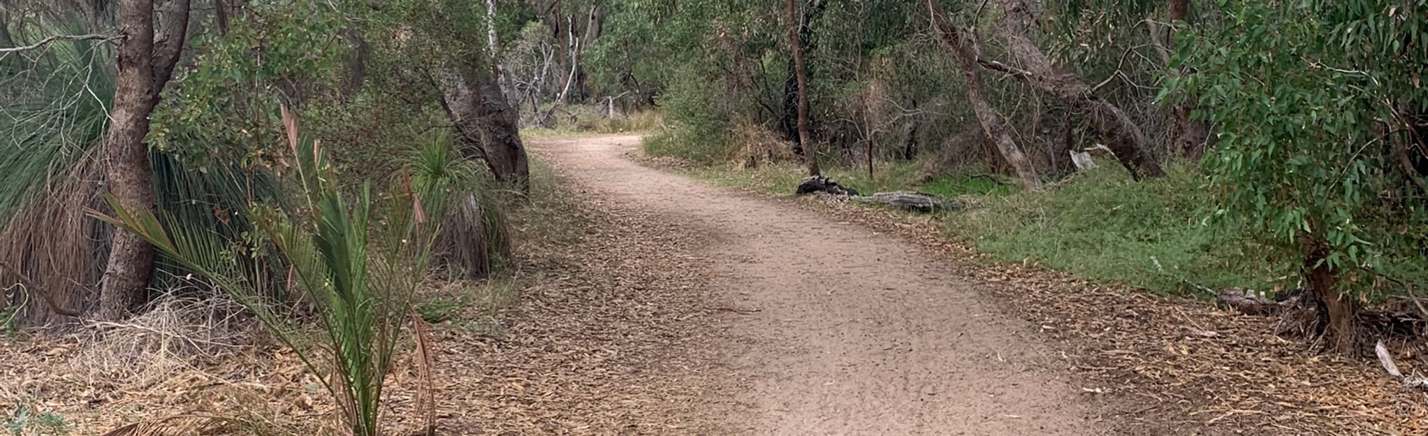 Star Swamp Firebreak and Heritage Trails: 116 fotos - Austrália ...