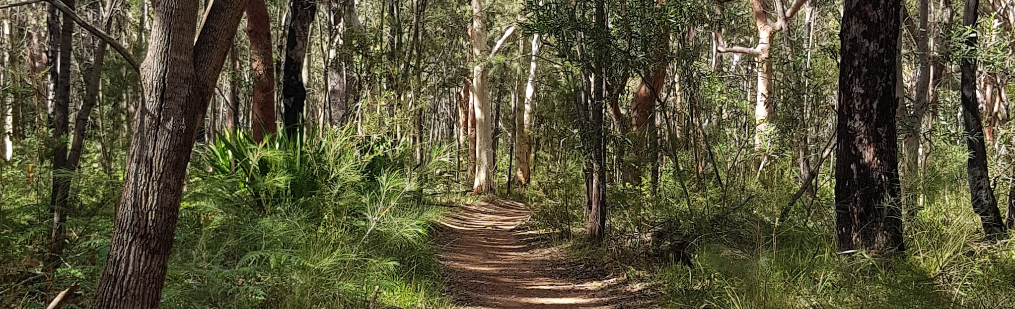 Loftus To Engadine - Long Way: 8 Reviews, Map - New South Wales ...