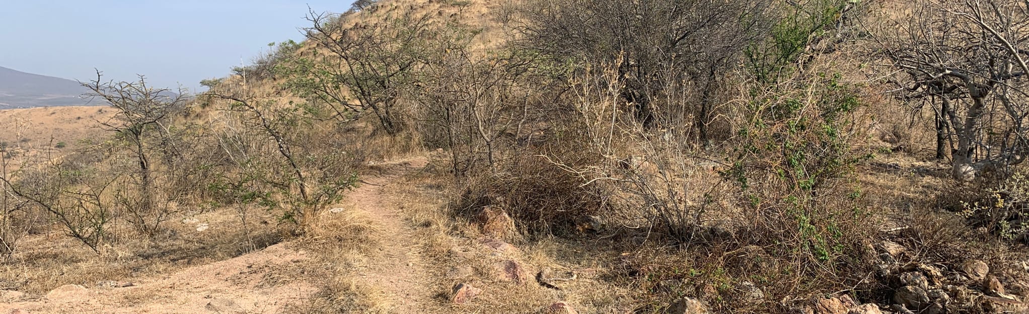 Cerros de Puruándiro, Michoacán, Mexico - 3 Reviews, Map | AllTrails