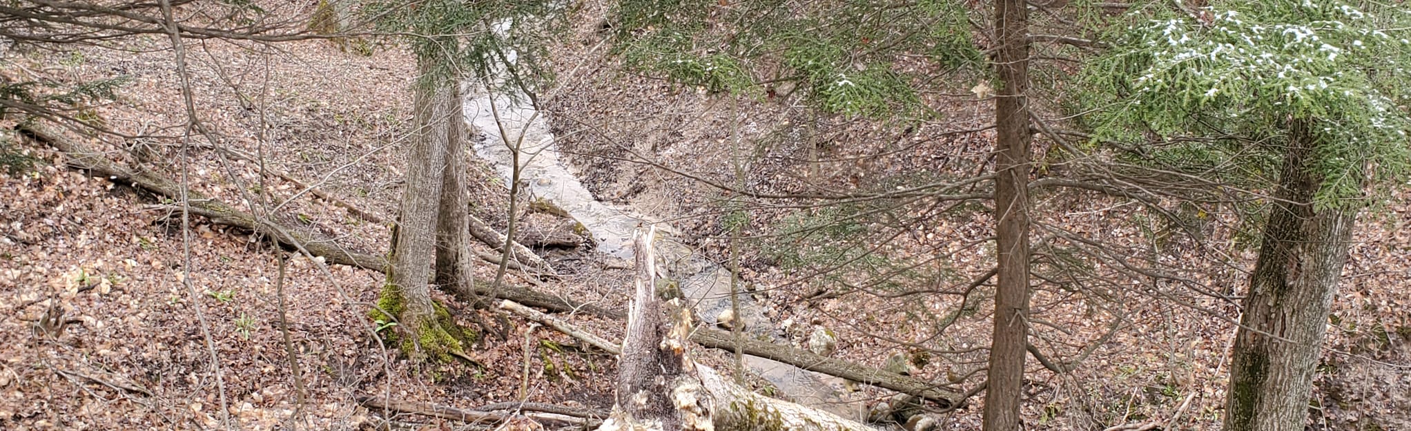 Misty Acres Trail, Michigan - 36 Reviews, Map | AllTrails