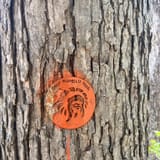 Chief Wapello Trail, Iowa - 57 Reviews, Map | AllTrails
