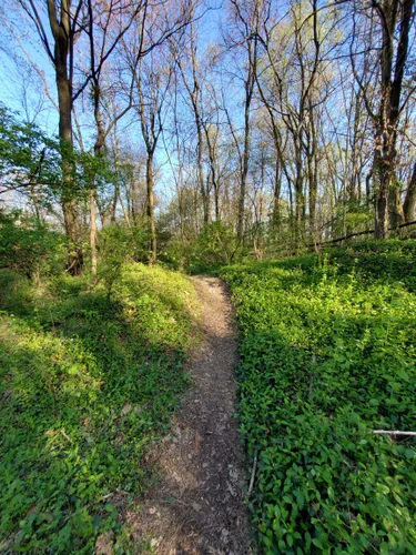 Best Hikes and Trails in Lancaster | AllTrails
