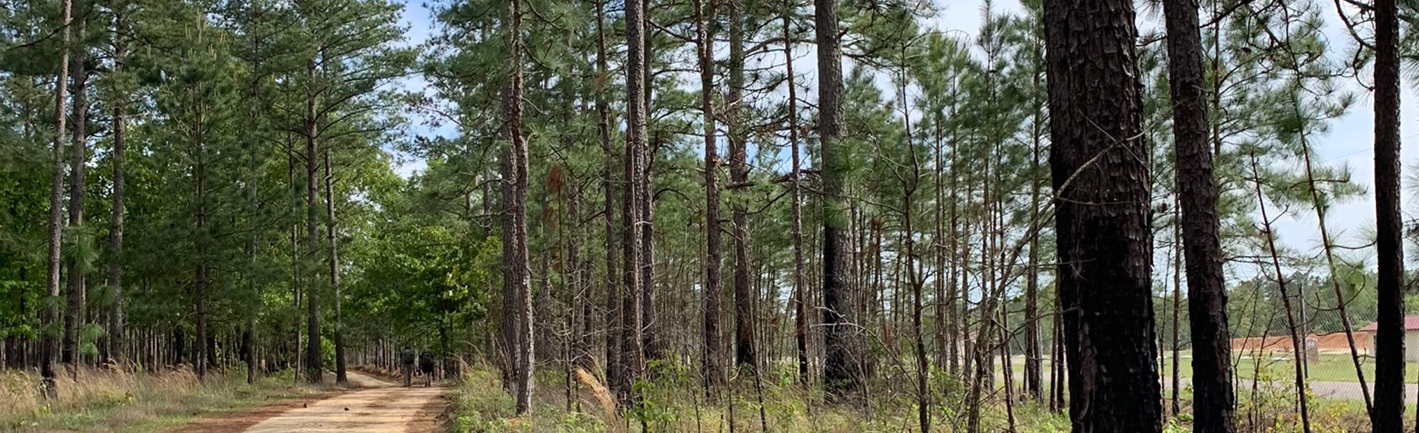 Area J Loop, North Carolina - 150 Reviews, Map | AllTrails