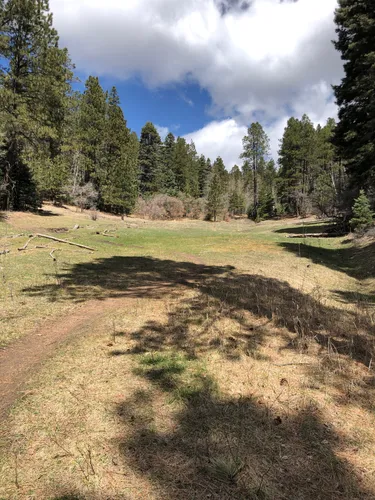 10 Best Camping Trails in Santa Fe National Forest | AllTrails