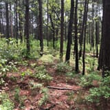 Horse Thief Spring and Ouachita Loop, Oklahoma - 177 Reviews, Map ...