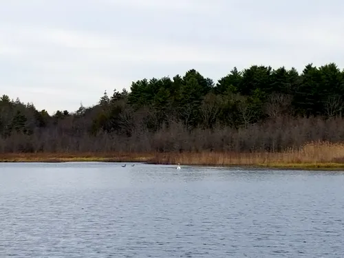 Best Hikes and Trails in Ross Marsh Wildlife Area | AllTrails