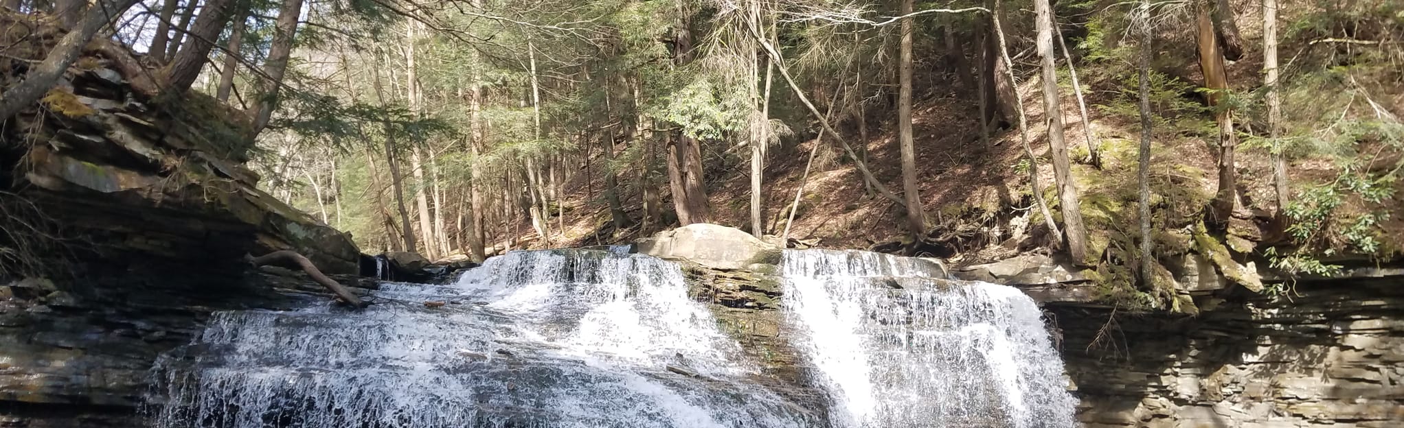 State Game Land 130 Waterfall: 18 Reviews, Map - Pennsylvania | AllTrails