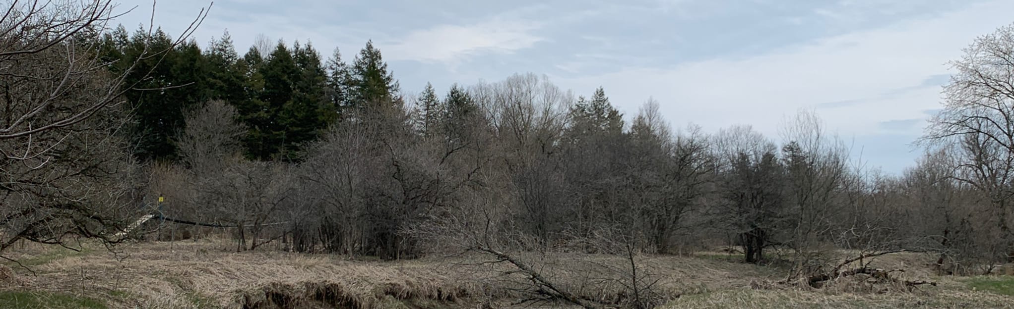 Humber Trails Loop [PRIVATE PROPERTY], Ontario, Canada - 68 Reviews ...