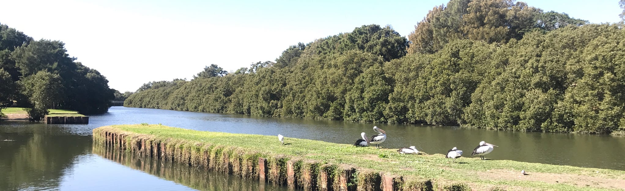 Cooks River Cycleway: Croydon Park to Ewen Park: 105 Reviews, Map - New ...