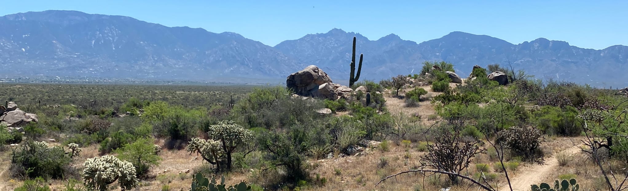 Honey Bee Canyon Loop, Arizona - 85 Reviews, Map | AllTrails