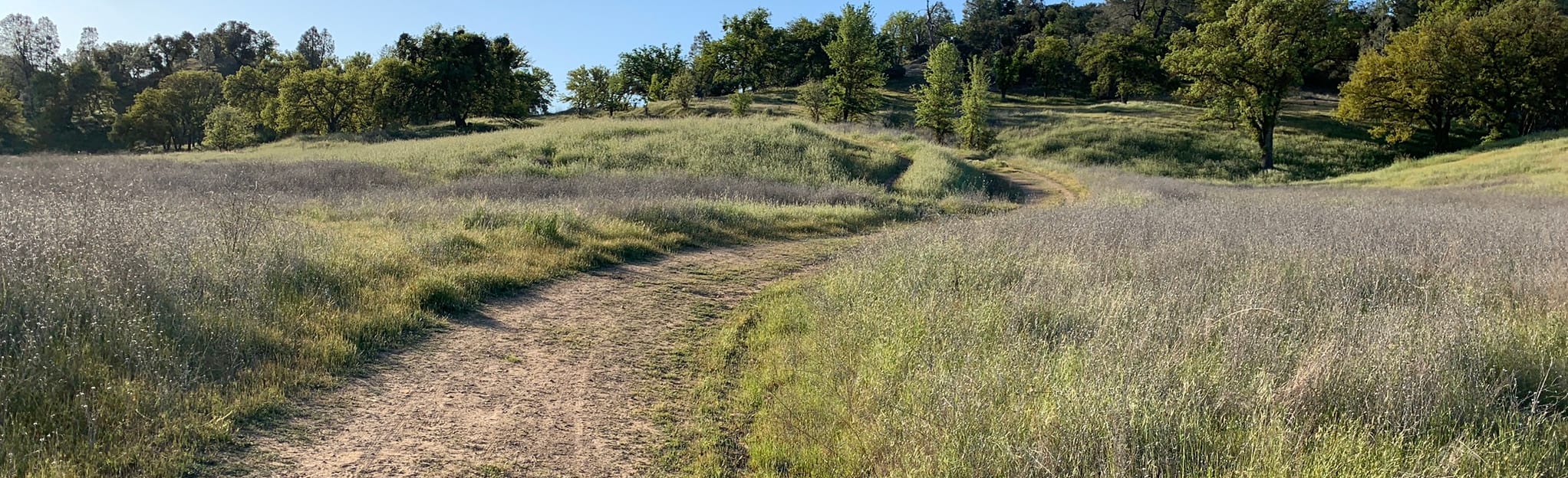 Blinn Ranch, Falcon and Blinn Ranch Loop [CLOSED], California - 16 ...