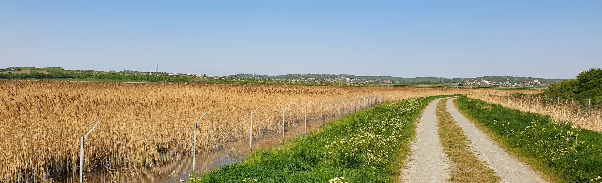 Bowers Marsh Circular, Essex, England - 62 Reviews, Map | AllTrails