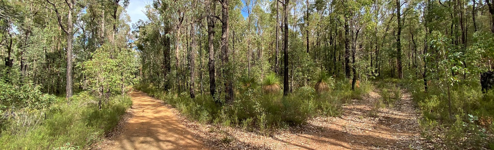 Munday Brook Trail, Western Australia, Australia - 207 Reviews, Map ...