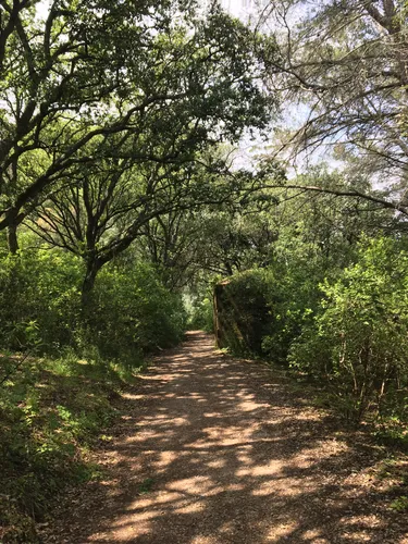 10 Best Hikes and Trails in Monsanto Forest Park | AllTrails