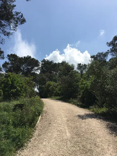 Best River Trails in Monsanto Forest Park | AllTrails