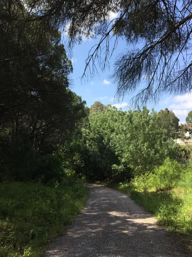 Best Lake Trails in Monsanto Forest Park | AllTrails