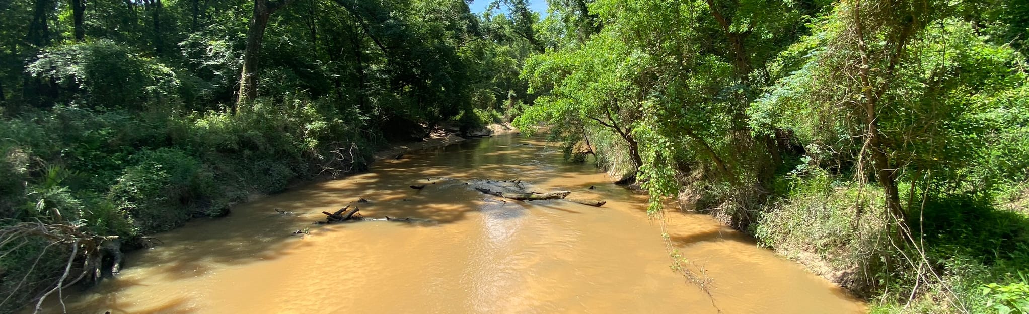 Spring Creek Nature Trail, Texas - 327 Reviews, Map | AllTrails