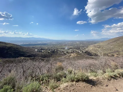2023 Best Long Trails in Corner Canyon Regional Park | AllTrails