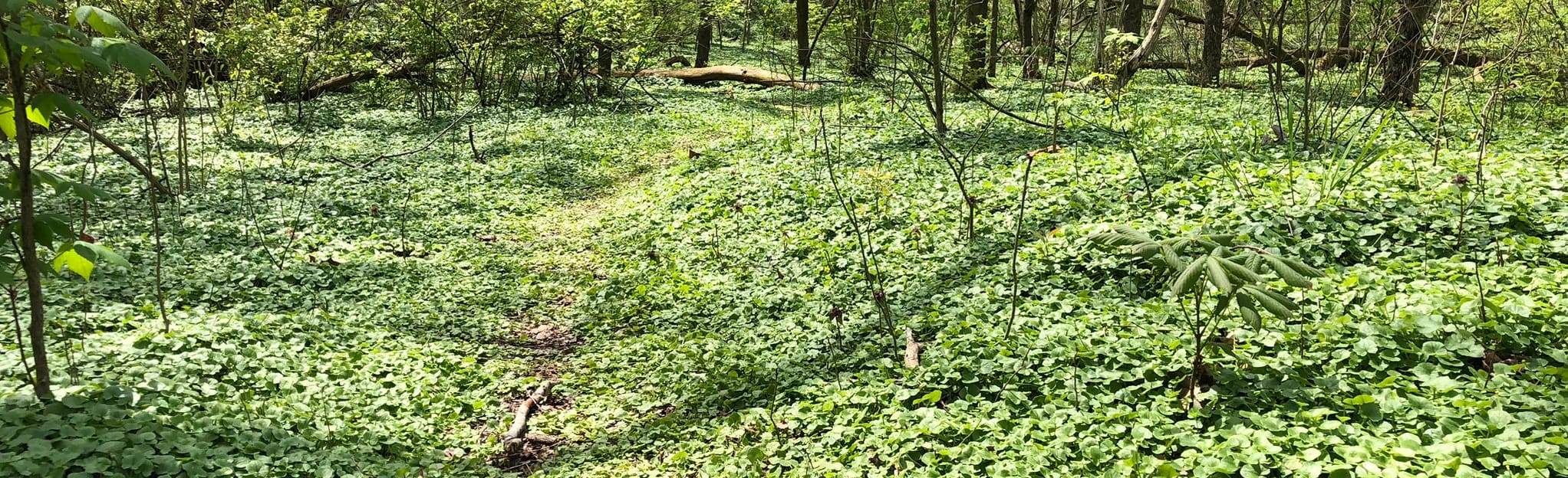 Prairie View and Big Spring Trails Loop, Ohio - 159 Reviews, Map ...