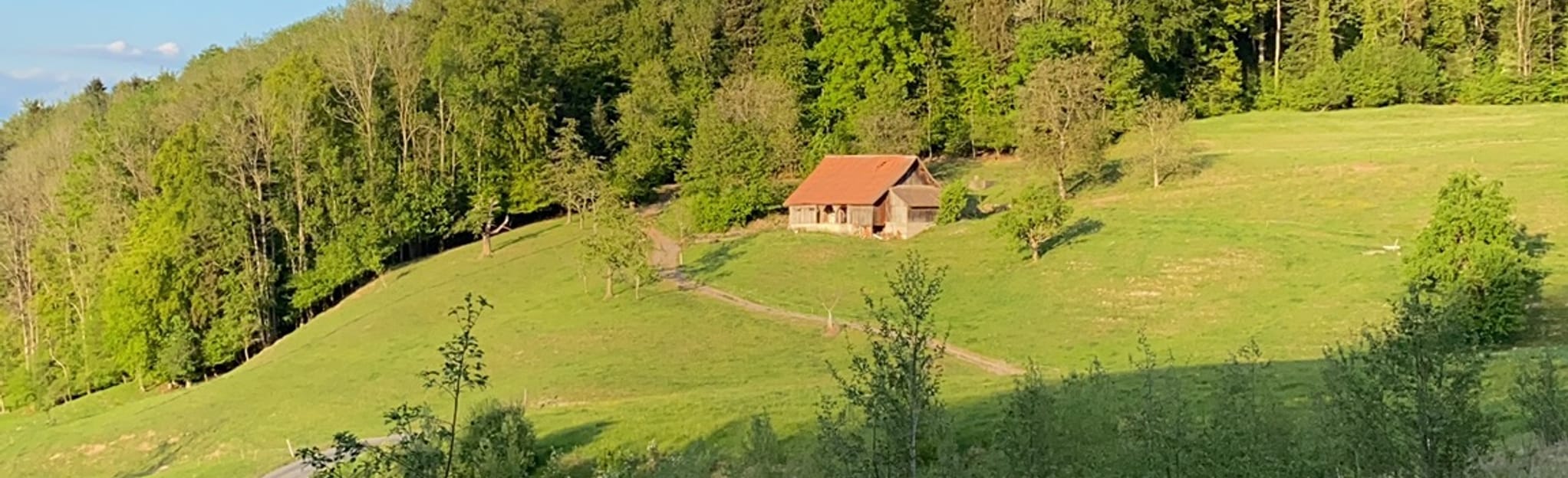 Baarburg Rundweg: 3 Fotos - Zug, Schweiz | Wandern | AllTrails