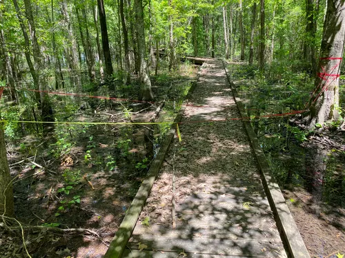 Best Hikes and Trails in Bayou Cocodrie National Wildlife Refuge ...