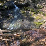 T Bagg Trail, Massachusetts - 280 Reviews, Map | AllTrails