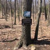 T Bagg Trail, Massachusetts - 280 Reviews, Map | AllTrails