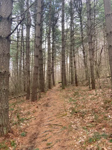 Best Hikes and Trails in Bear Run Nature Reserve | AllTrails