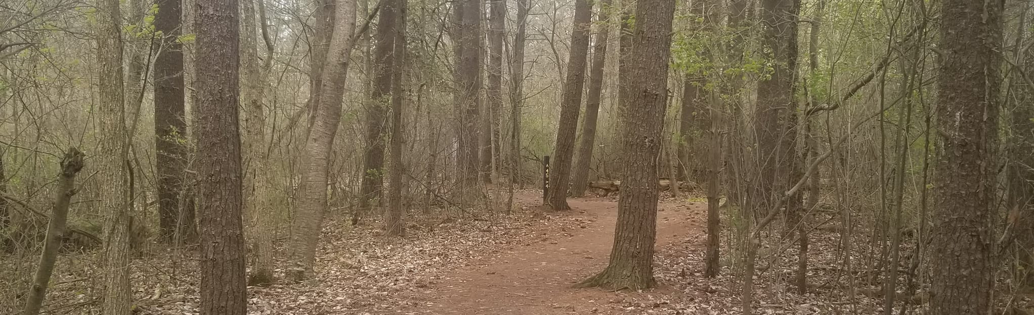 Ouabache State Park Trail Loop, Indiana - 351 Reviews, Map | AllTrails