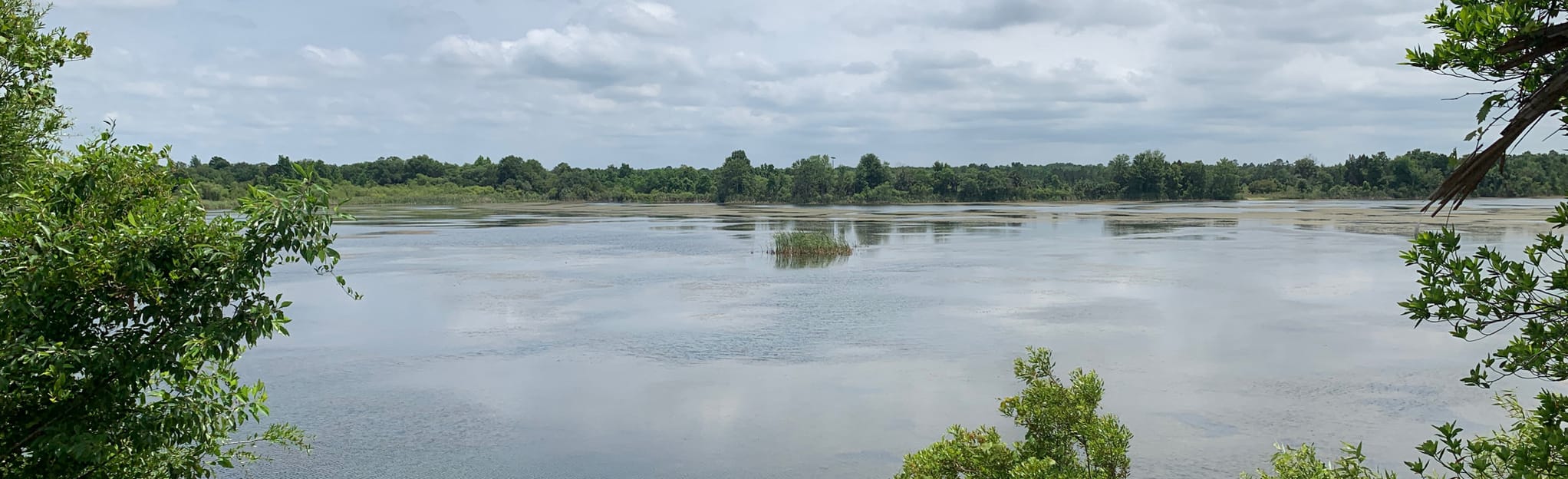 Blackwater Creek Trail: 65 Reviews, Map - Florida | AllTrails