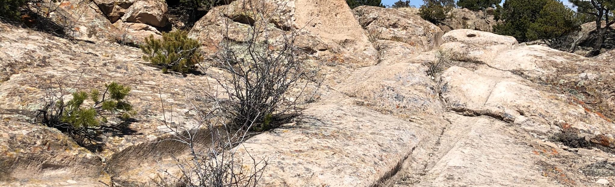 Blue Sky Loop Penitente Canyon: 80 Reviews, Map - Colorado | AllTrails