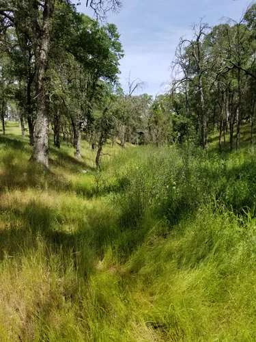 10 Best Trails and Hikes in Roseville | AllTrails