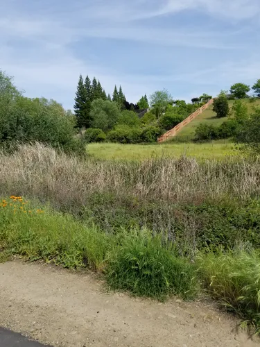 2023 Best 10 Trails and Hikes in Roseville | AllTrails