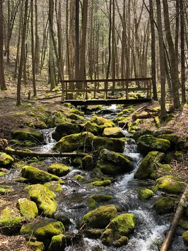 Best Hikes and Trails in Snyder-Middleswarth Natural Area | AllTrails