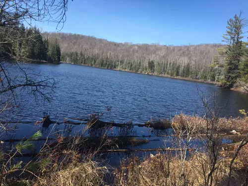 10 Best Trails and Hikes in Indian Lake | AllTrails