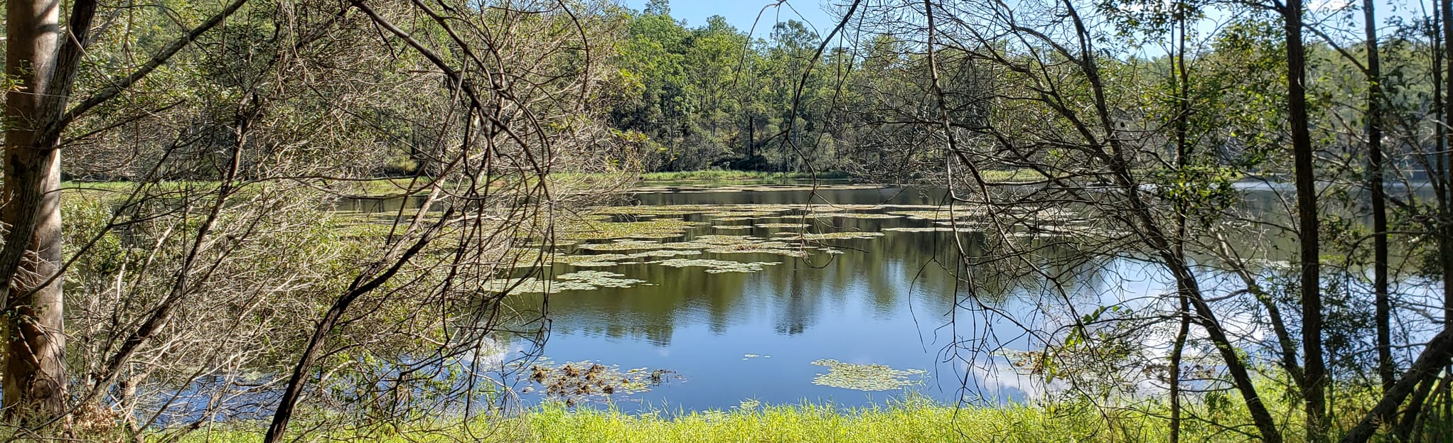Glider, Boscombe, Reservoir and Death Adder Track, Queensland ...
