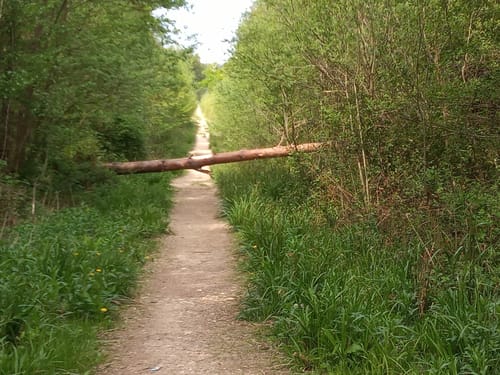 Best Hikes and Trails in Parkhurst Forest | AllTrails