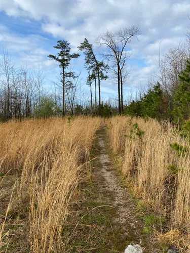2023 Best Mountain Biking Trails in Michaux State Forest | AllTrails